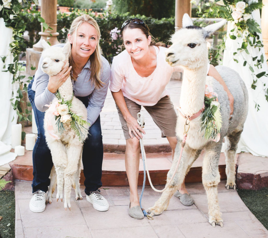 The Origins of Goat Yoga: How It All Began in Gilbert, Arizona